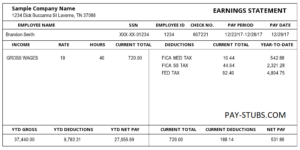 How do I get my pay stub from Toast?