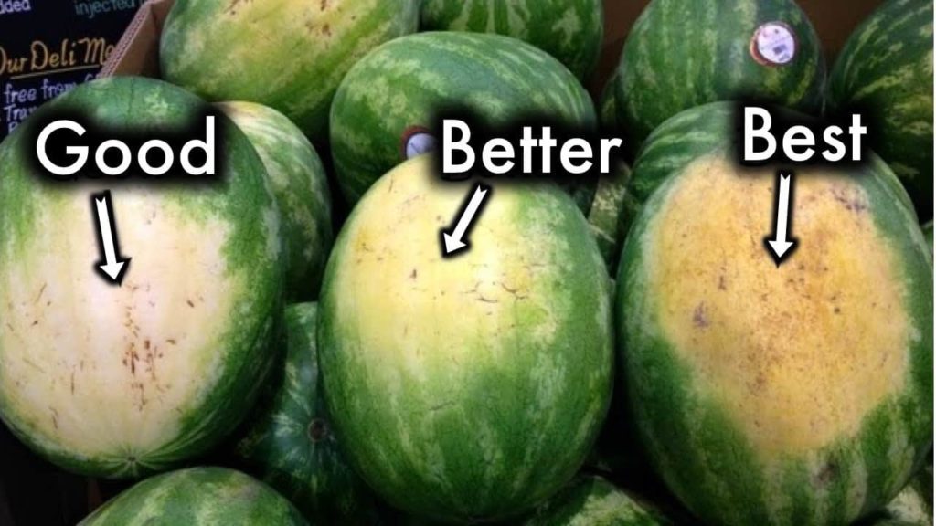 How do you tell if a watermelon is ripe by knocking on it?