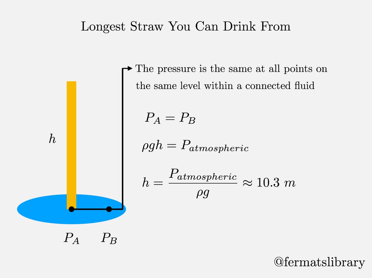 What is the longest vertical straw you can drink from?