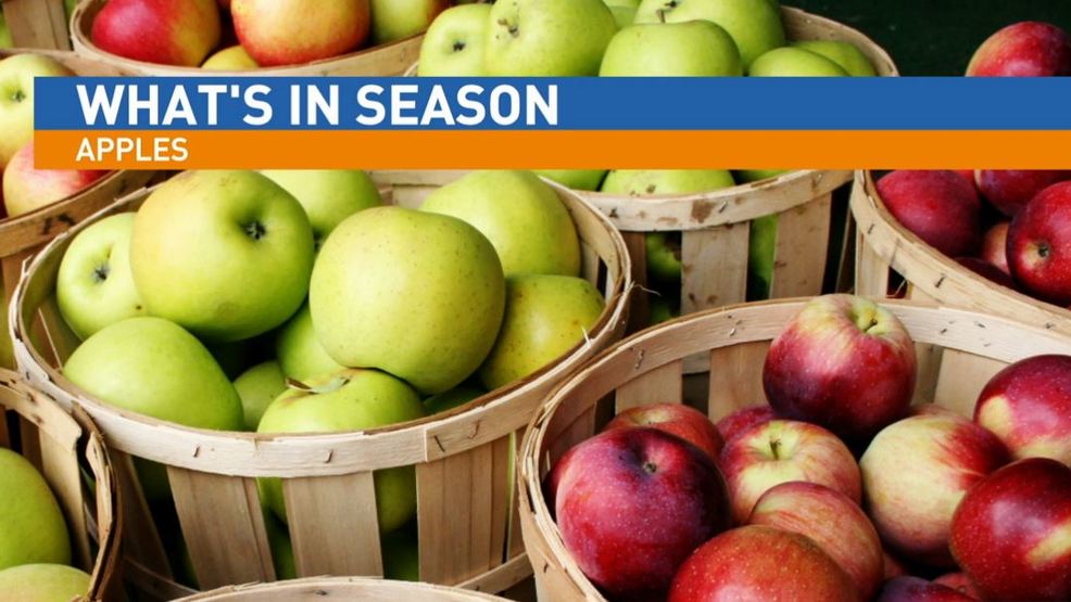 What months are apples in season?