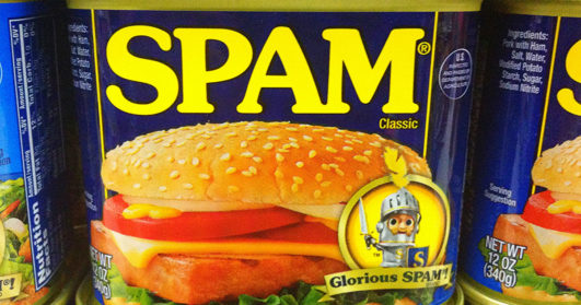 What do the letters SPAM stand for?