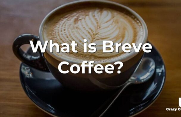 How do you pronounce breve Starbucks?