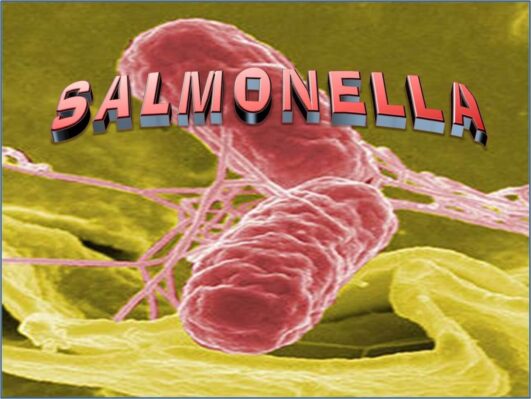 How is Salmonella measured?