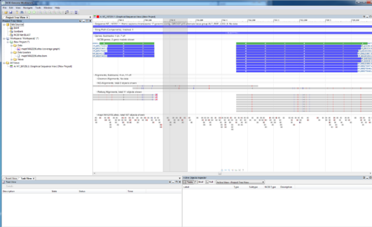 What are BAM files for?