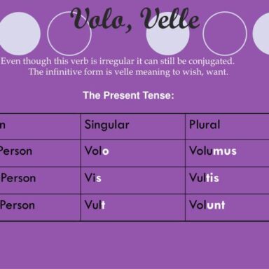 What is a jabroni in Italian?