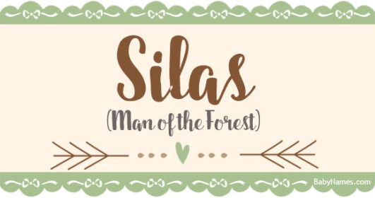 What does the name Silas mean?