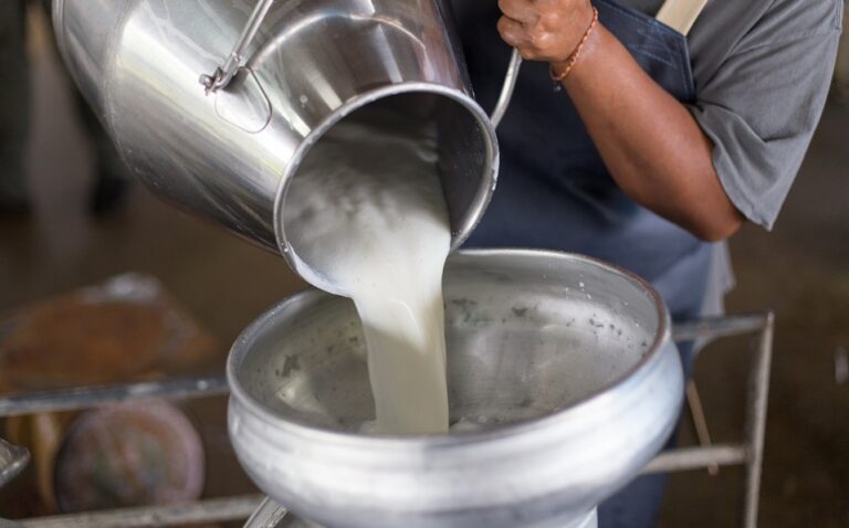 What is La Leche mean?