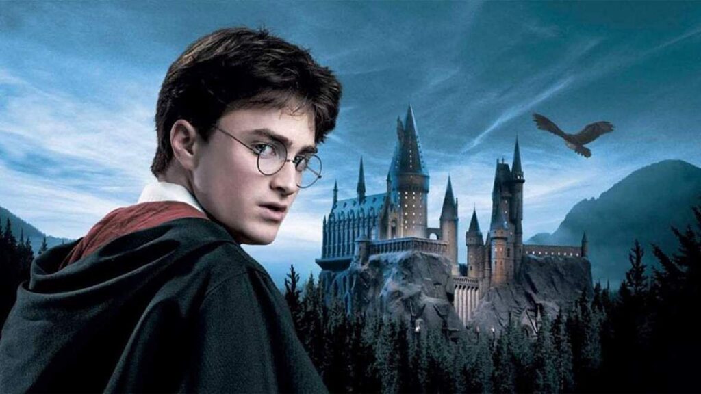 What is a Seer in Harry Potter?
