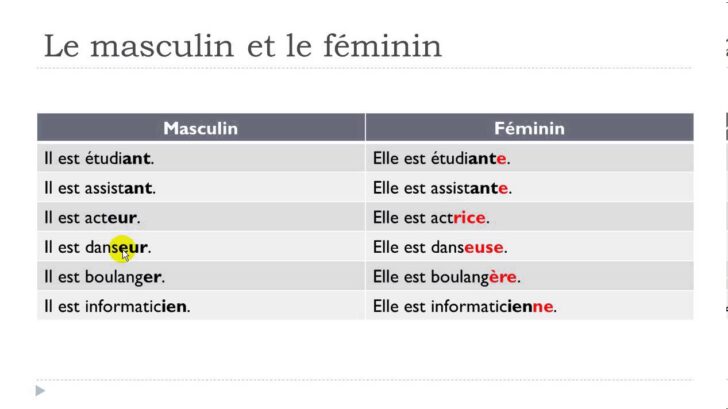 What is the feminine form of large in French?