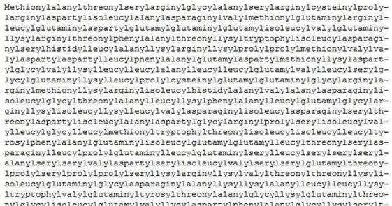 What is the most longest word?