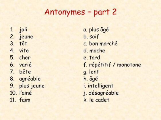 What is the opposite of intelligent in French?