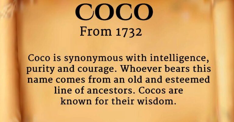 Where does the name Vela come from?