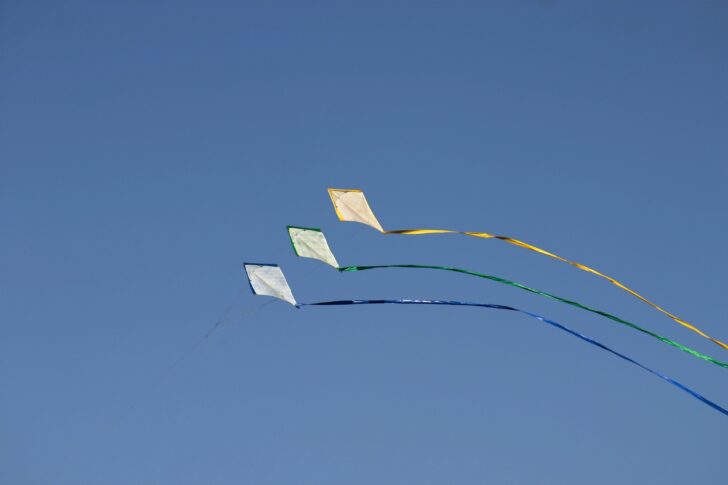 Which kite is best for beginner?