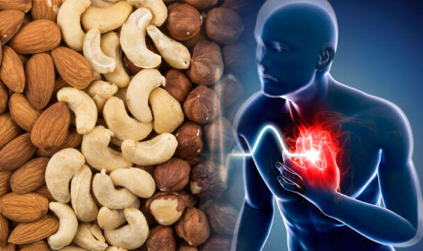 Can too much protein cause heart attacks?