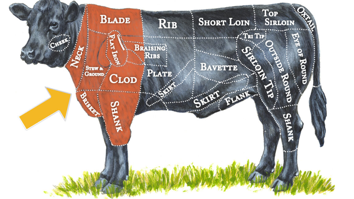 What do they sell in a butcher shop?