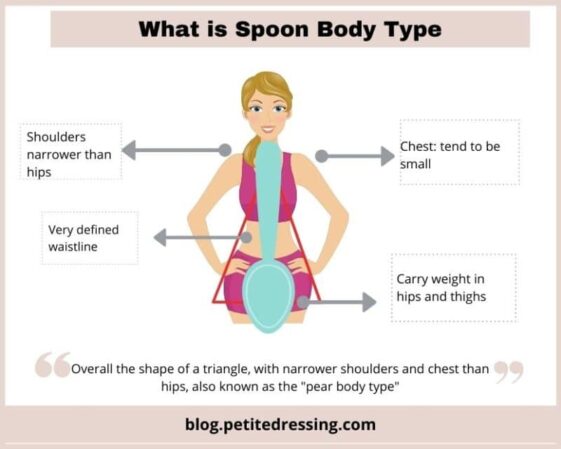 What is a spoon body shape?