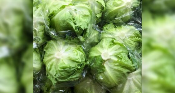 What is the #1 toxic vegetable?