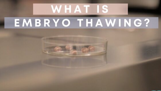 What is the thawing process?