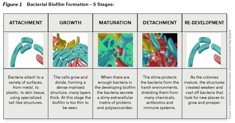 What removes biofilm from clothes?