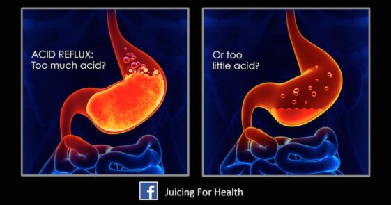 What soaks up acid in your stomach?