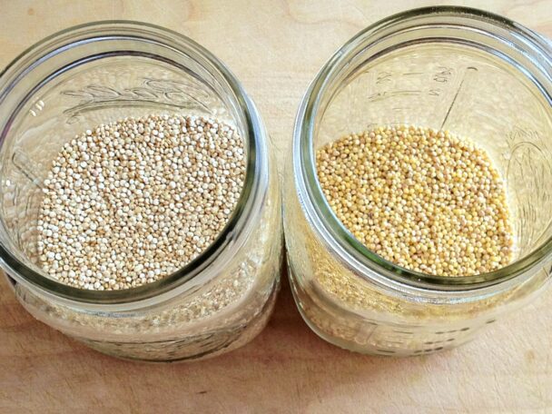 Which is better millet or quinoa?